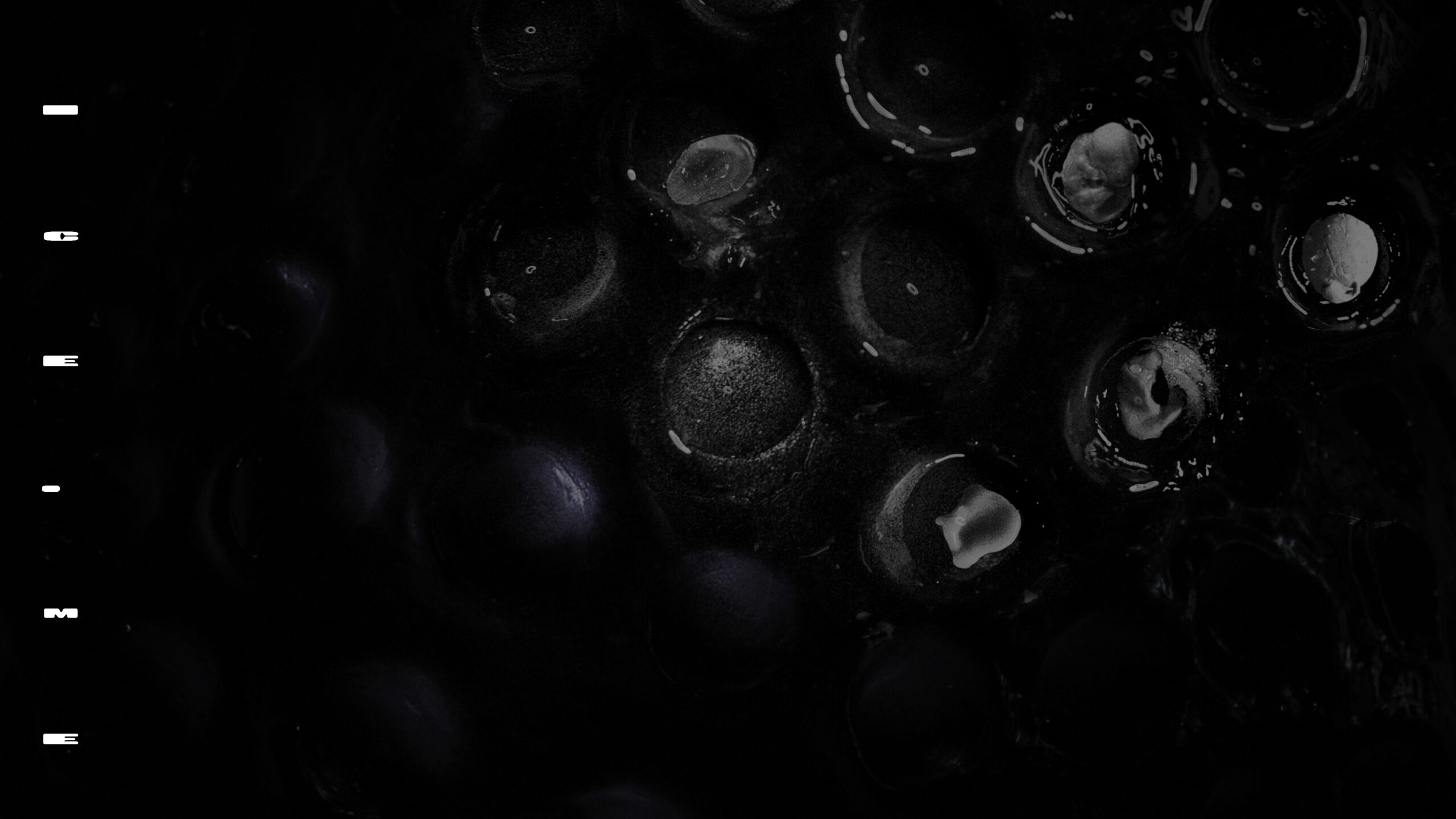 Review | Ice Melt – Crumb – The Colour of Spring